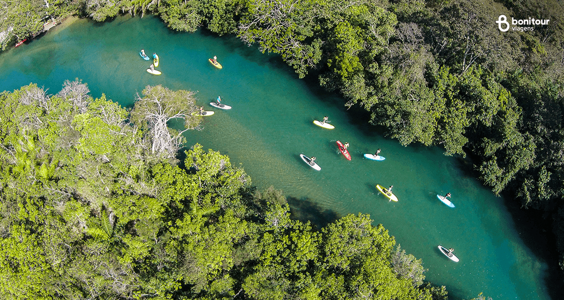 Veja os melhores passeios em Bonito/MS